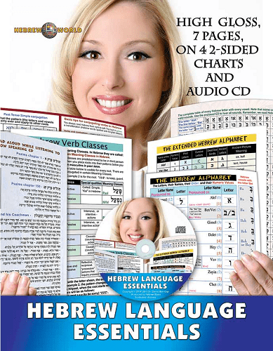 Shofars - Shofars From Afar